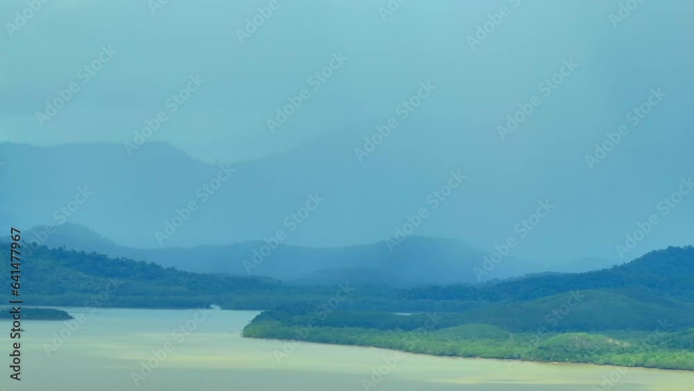 A mesmerizing aerial view reveals the intricate beauty of Mangrove and ...