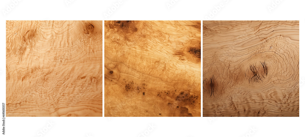 timber birds eye maple wood texture grain illustration tree brown ...