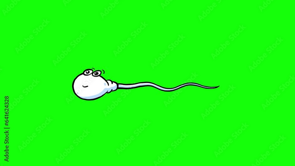 Sperm cell cartoon animated character isolated green screen. Animation ...