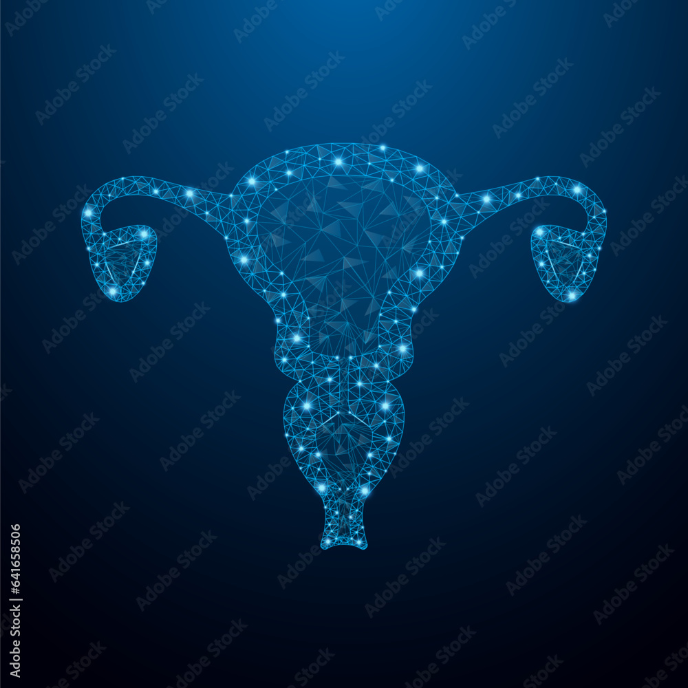 Low poly Uterus,cervical vector with futuristic concept. Women well ...