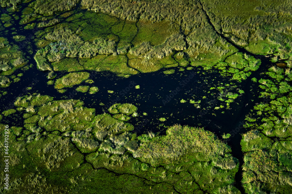 Africa aerial landscape, green river, Okavango delta in Botswana. Lakes ...