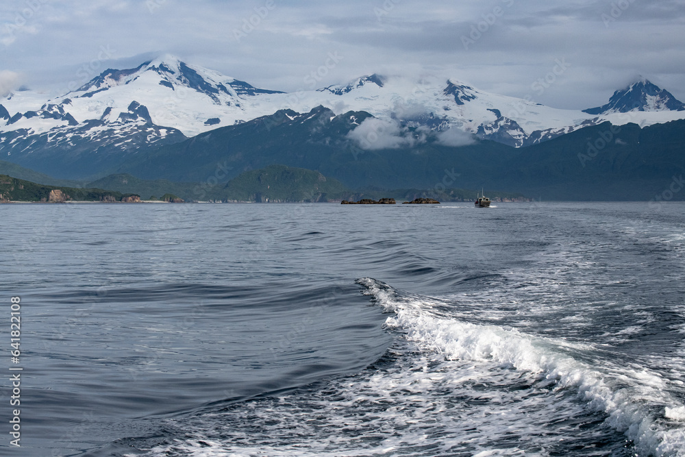 Mit high speed unterwegs in der Kukak Bay - Alaska Stock Photo | Adobe ...