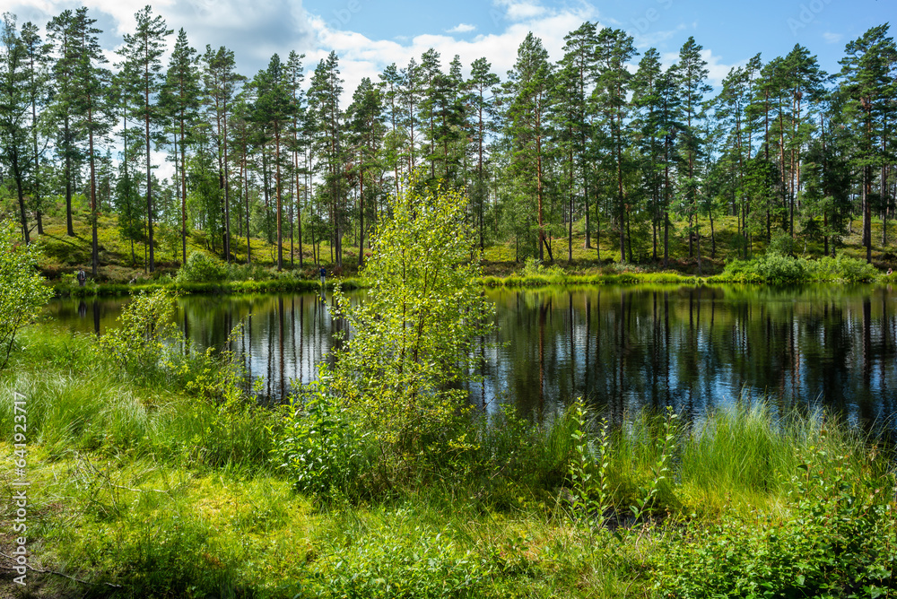 lake in a forest in the swedish nature reserve hökensas near tidaholm ...