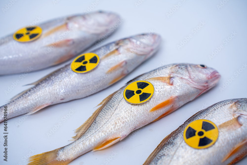 Radioactively contaminated fish. nuclear electric power waste water ...