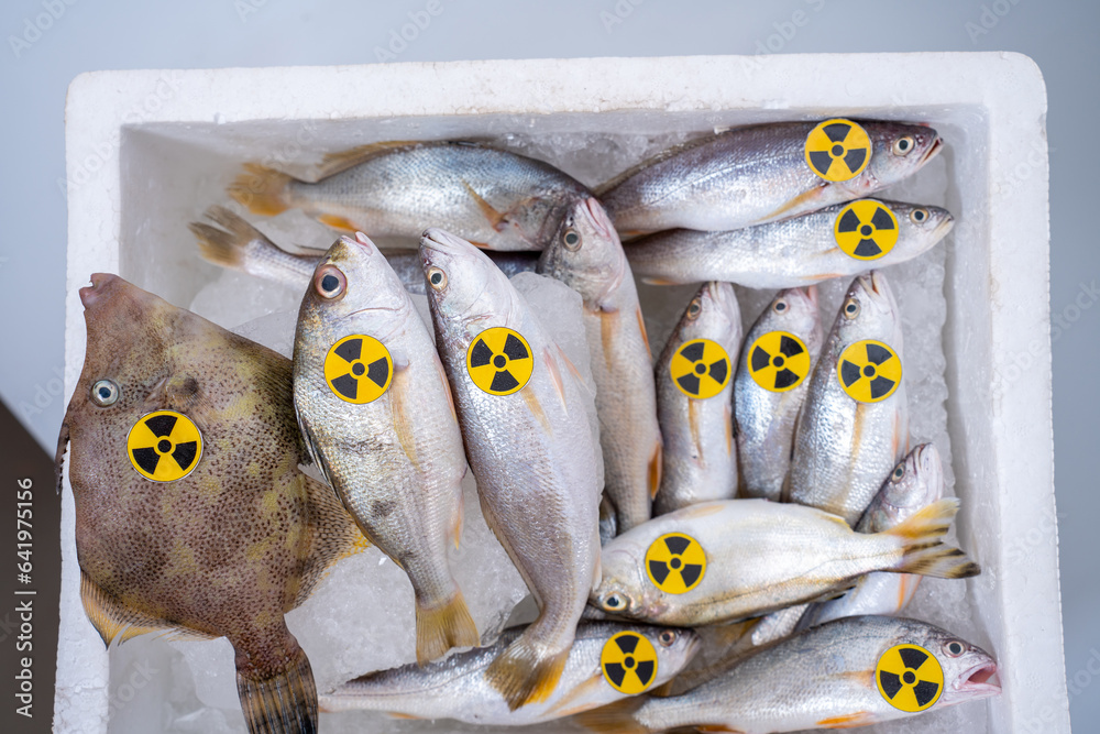 Radioactively contaminated fish. nuclear electric power waste water ...