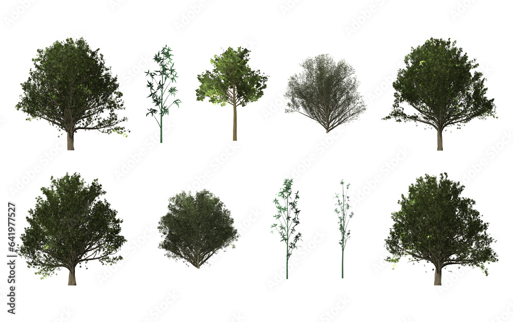 Realistic side view trees, shrub, bamboo Stock Illustration | Adobe Stock