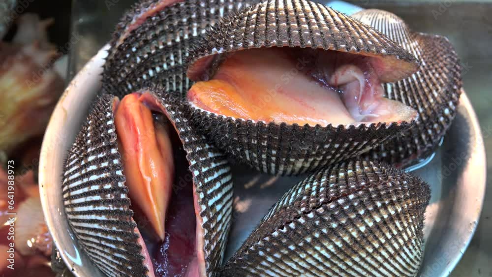 Alive seafood at the Jagalchi Fish Market (Anadara bivalves, Seashells ...