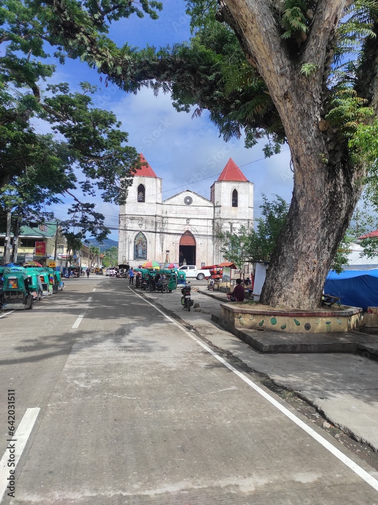 Poblacion, Sibonga, Cebu - Our Lady of the Pillar Parish Church ...