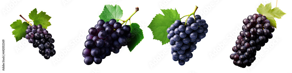 Kyoho grape isolated on transparent background with clipping path Black wine grape with leaves ...