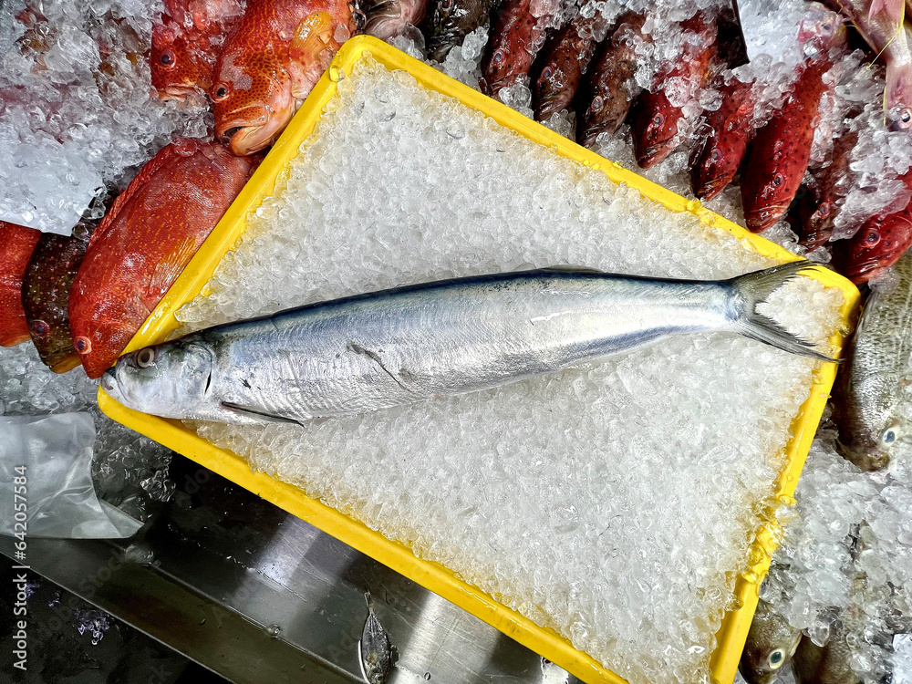 fresh raw cold seafood saury whole fish ikan head, fillet, meat, cut ...