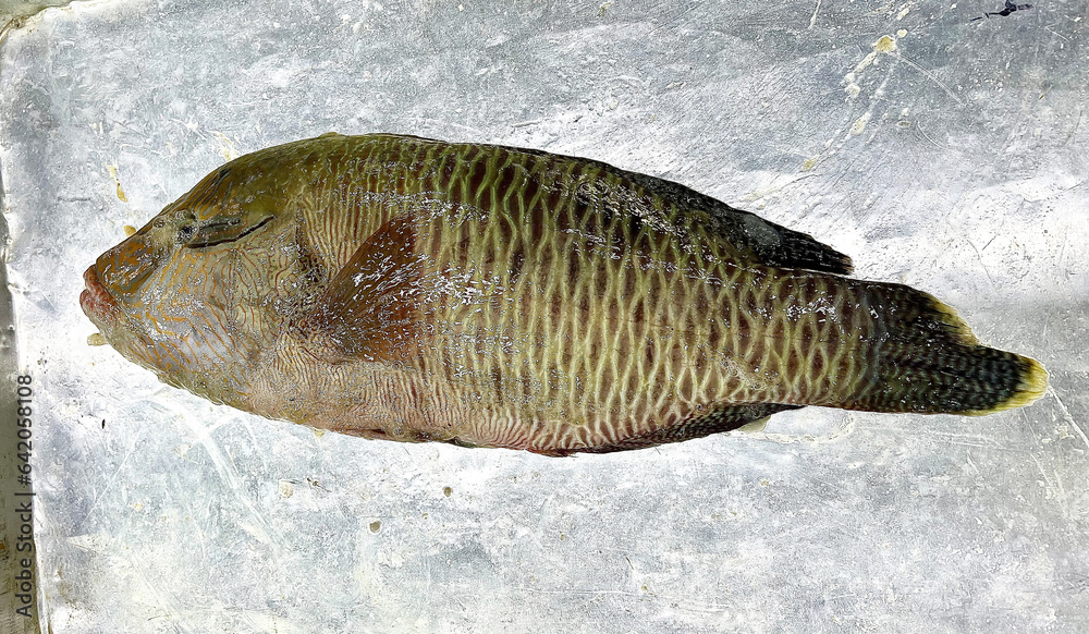 fresh raw cold seafood Su mei whole fish ikan head, fillet, meat, cut ...