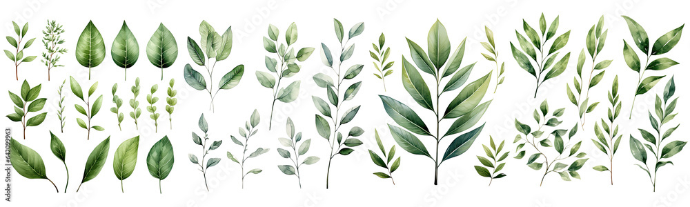 Set of watercolor foliage green leaves bundles illustration isolated on ...