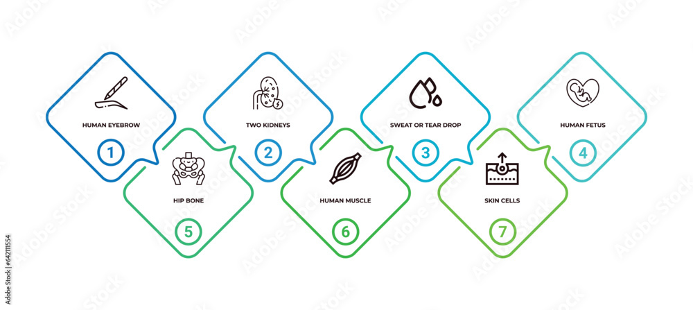 two kidneys, sweat or tear drop, human fetus, hip bone, human muscle ...