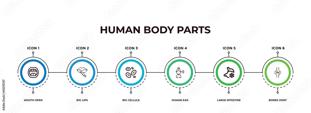 mouth open, big lips, big cellule, human ear, large intestine, bones ...