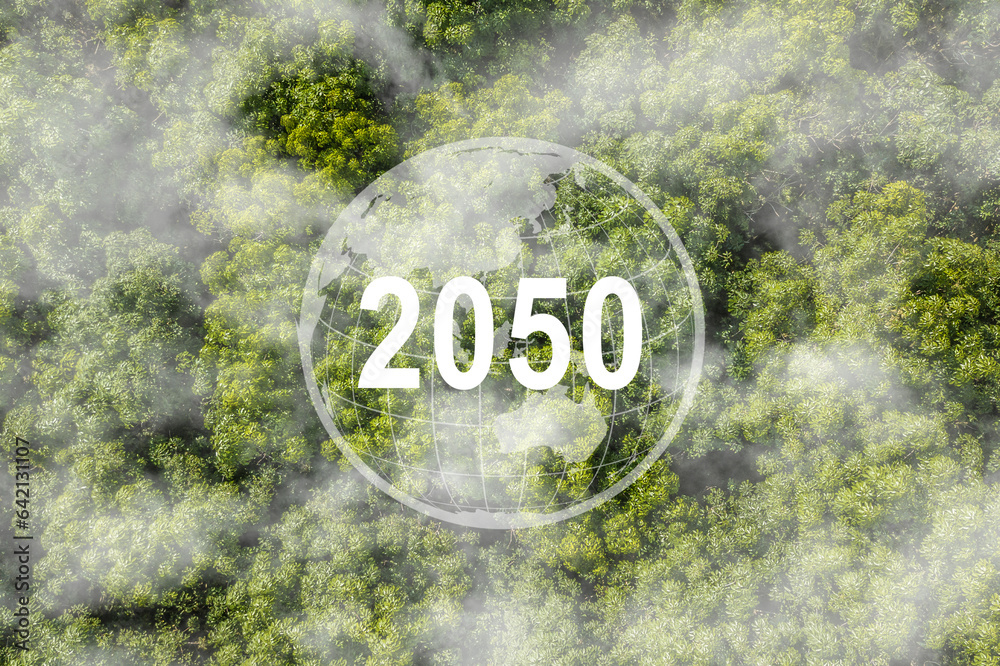 Net zero by 2050. Carbon neutral on Top view of nature. Net zero ...