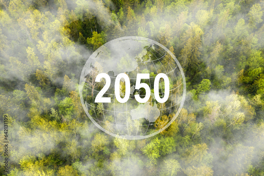 Net zero by 2050. Carbon neutral on Top view of nature. Net zero ...