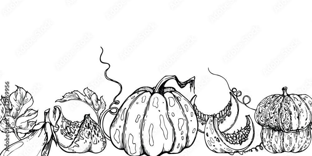Hand drawn ink vector pumpkin gourd squash flower, tendrils and leaf ...