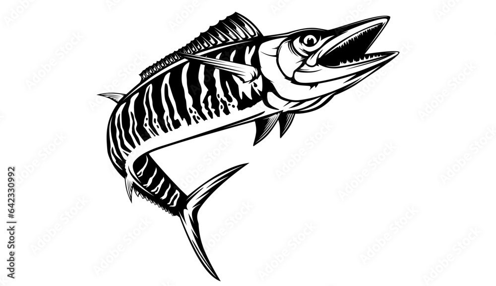 Vector Illustration of a wahoo. Acanthocybium solandri. A scombrid fish ...