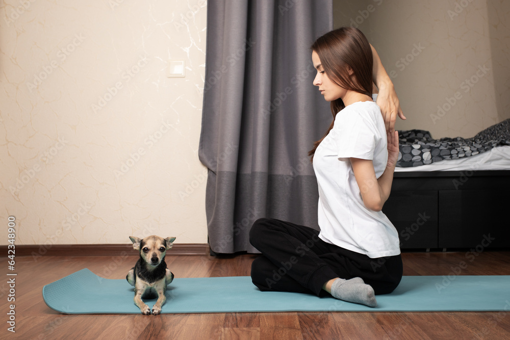 Yoga training at home with a loving pet dog, Fitness at home, healthy ...