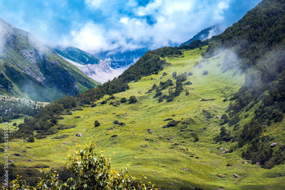 Meadow in the mountains. With a stunning backdrop of the mighty ...