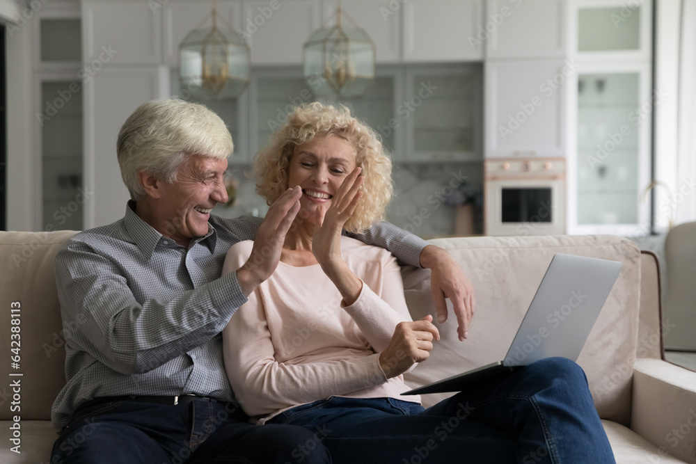 Cheerful satisfied elder husband and wife giving high five at laptop ...