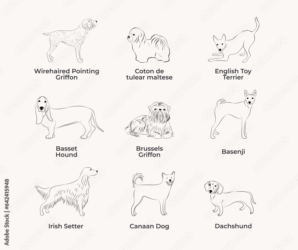 Dog Line Drawing, line art, one color, black and white, vector isolated ...