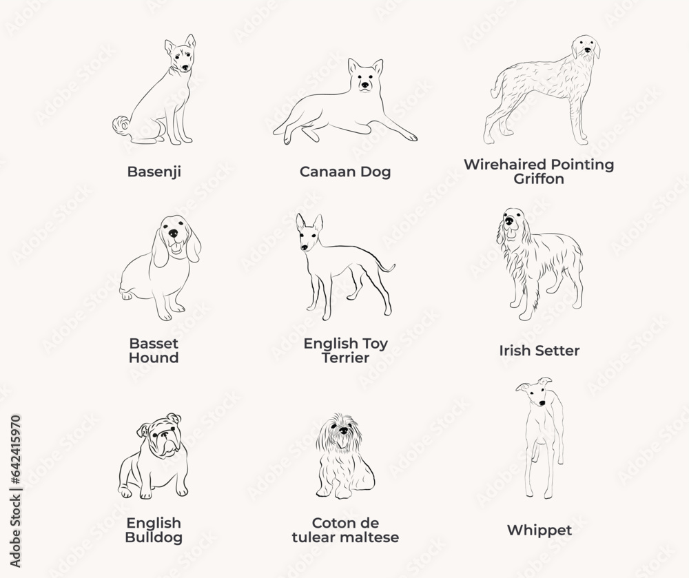 Dog Line Drawing, line art, one color, black and white, vector isolated ...