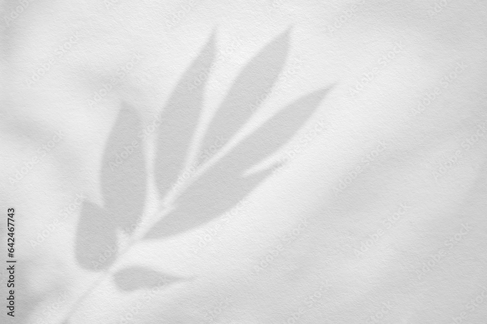 Leaf shadow and light blurred background. Natural leaves tree branch ...