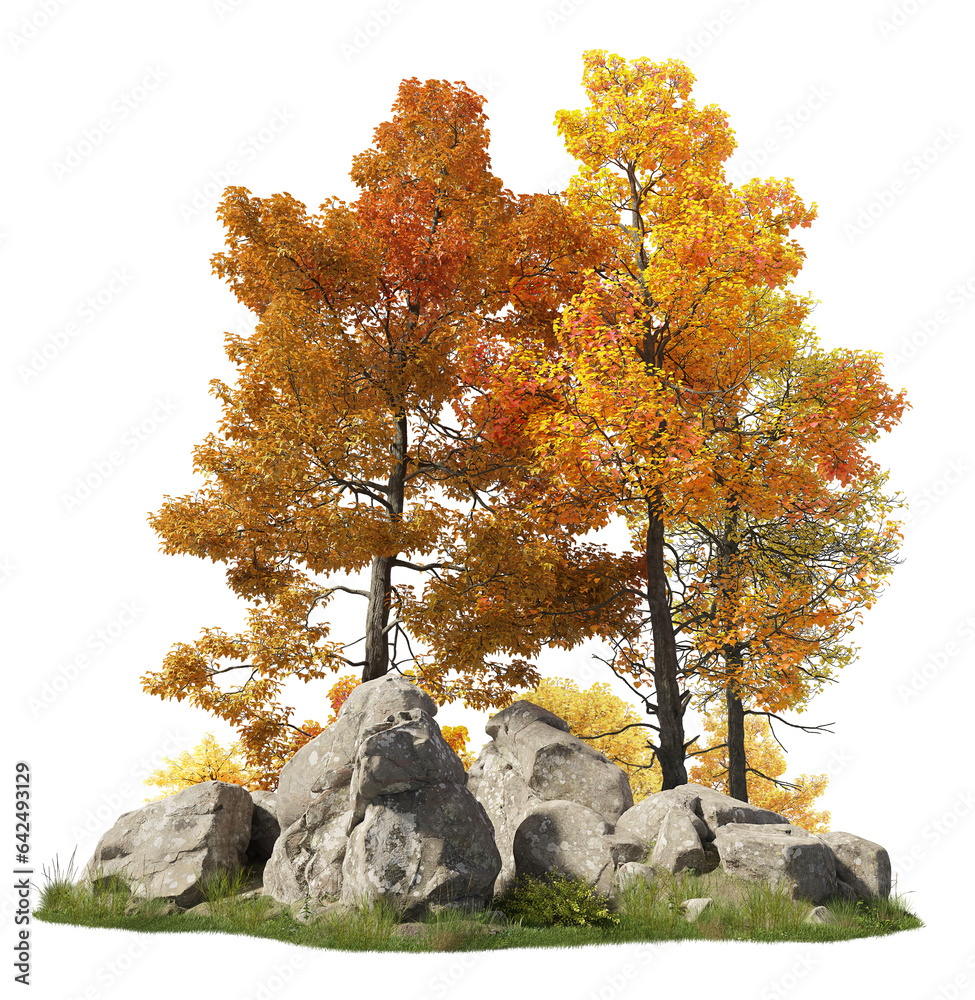 Group of deciduous trees among the rocks. Cutout yellow trees in autumn ...