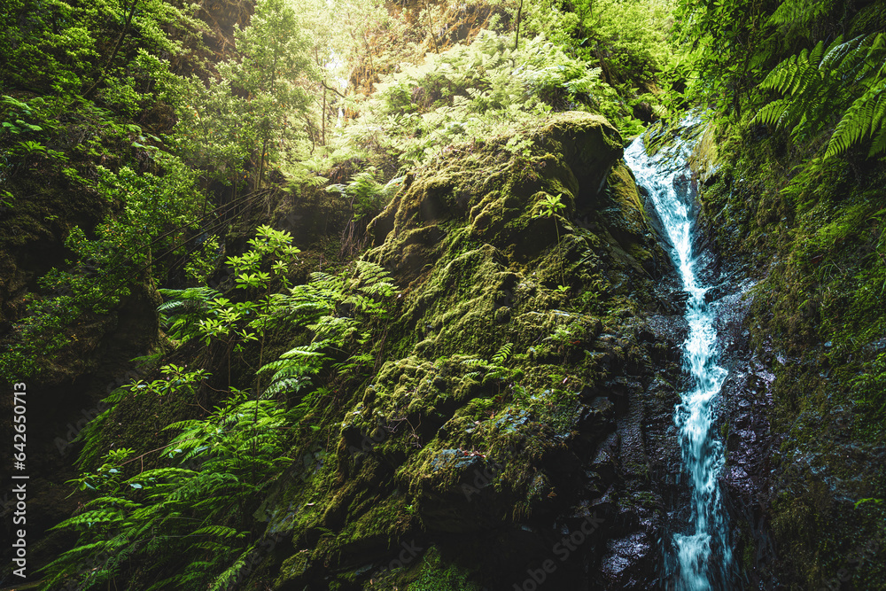 Scenery of a picturesque waterfall overgrown with plants in huge gorge ...