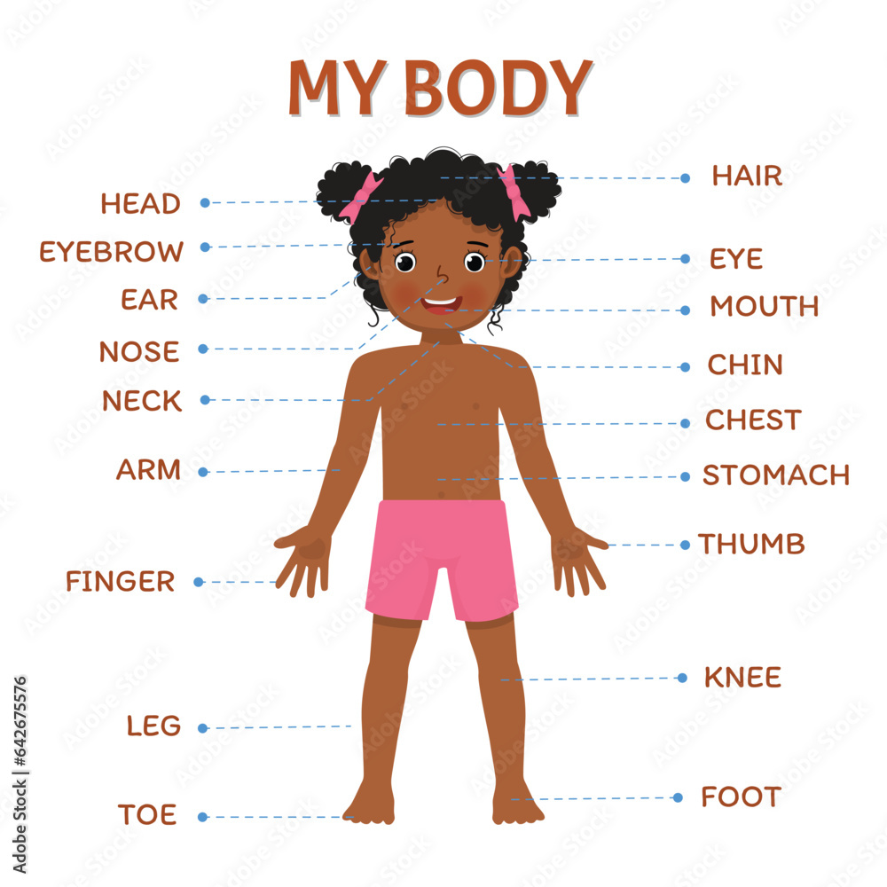 Cute little African girl illustration poster of human body parts with diagram text label chart ...