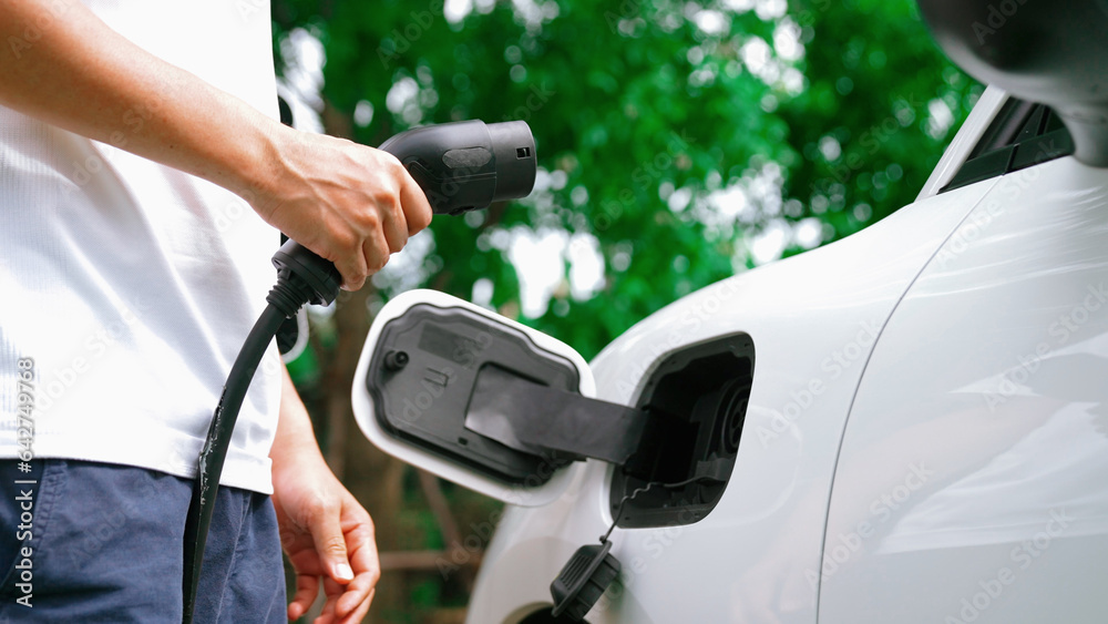Progressive man install power cable plug to his electric vehicle, EV ...
