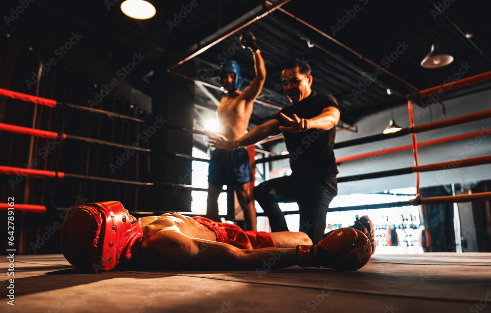 Boxing referee intervene, halting the fight to check fallen competitor ...