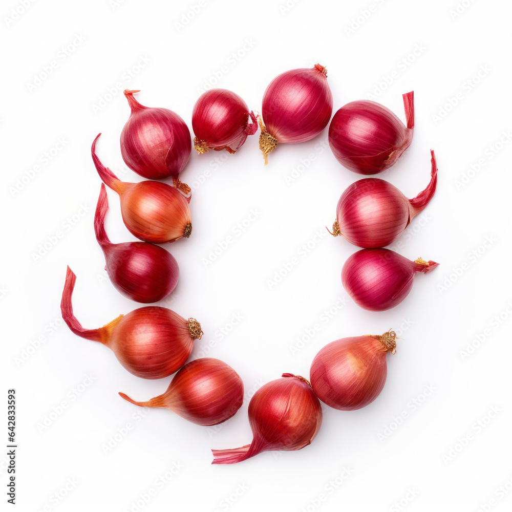 Printable vocabulary flashcards. O for Onion. Guessing game. Advanced ...