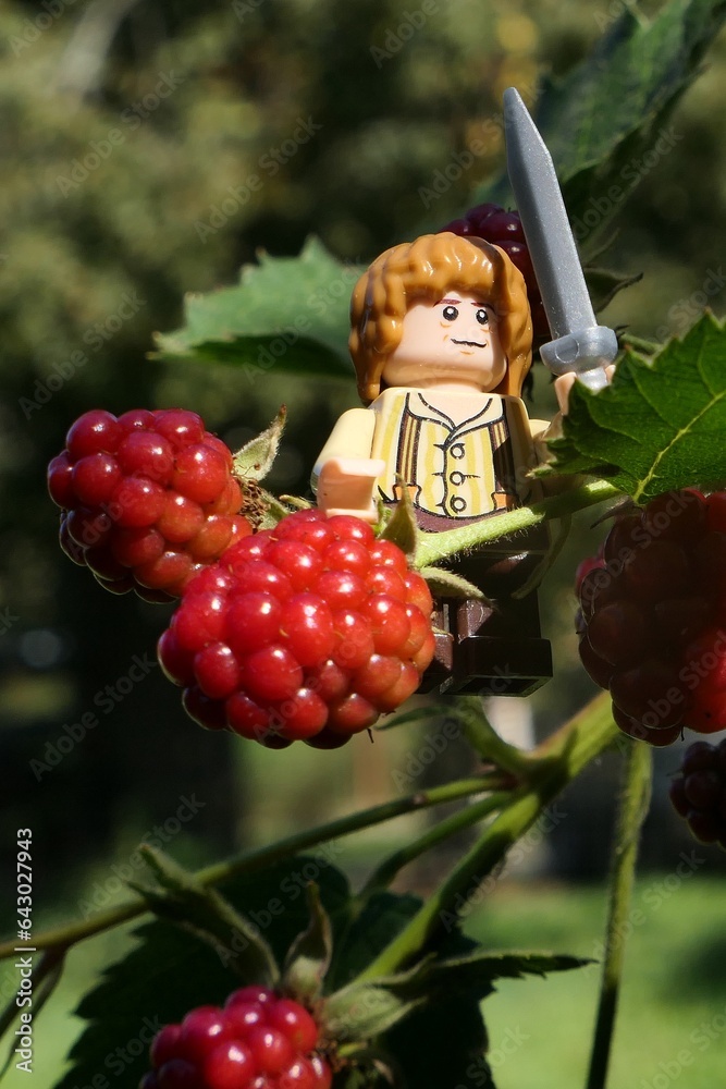 LEGO Lord Of The Rings figure of hobbit Samwise Gamgee alias sam with ...