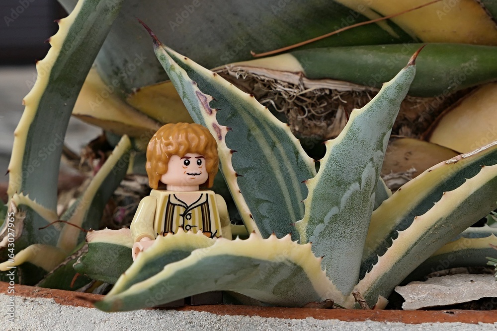 LEGO Lord Of The Rings figure of hobbit Samwise Gamgee examining small ...