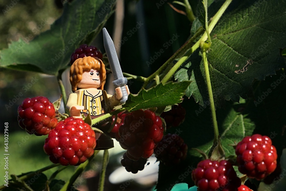 LEGO Lord Of The Rings figure of hobbit Samwise Gamgee alias sam with ...