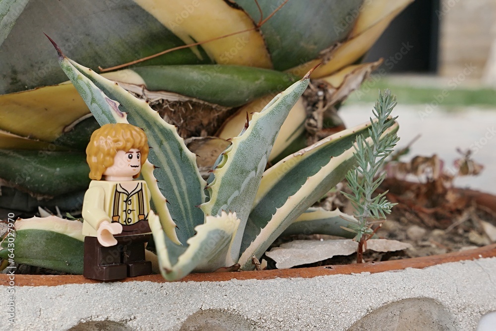 LEGO Lord Of The Rings figure of hobbit Samwise Gamgee adoring small ...