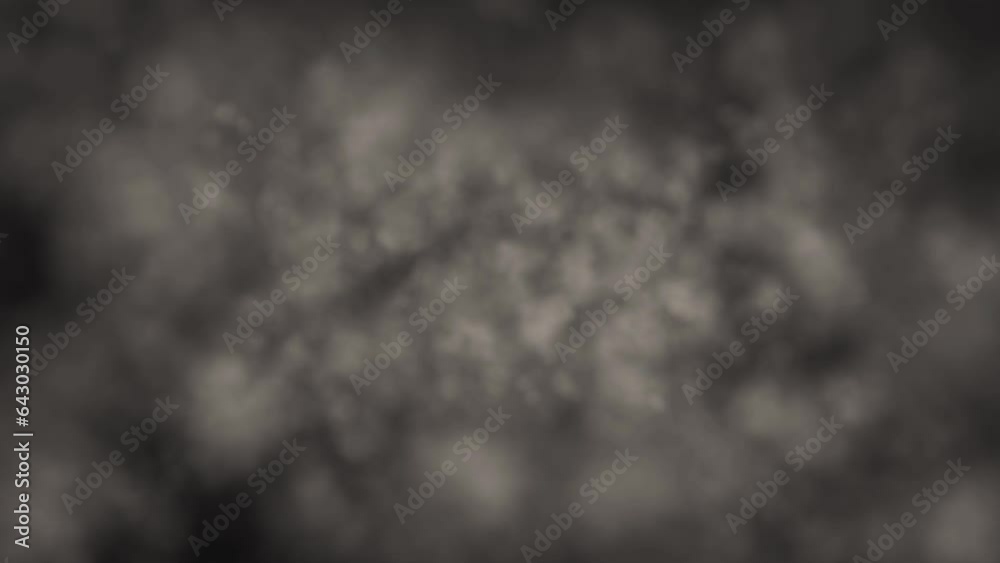 Black and white of smoke. Gray background transition with smoke and ...