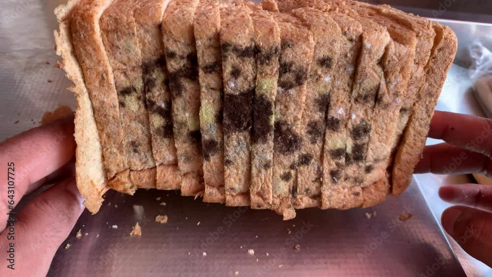 Close-up moldy brown bread slice, Fungi and bacteria in a brown bread ...