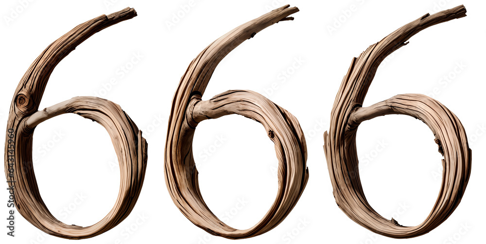 number 6 made of old creepy tree branches. for title of horror movie ...