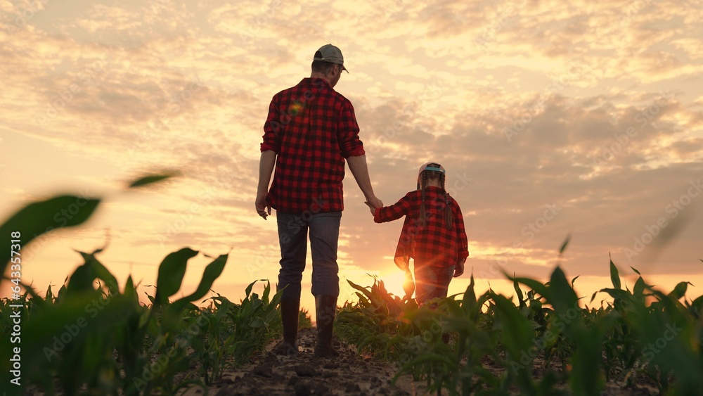 Dad daughter hold hands in field. Father, child walk on field, sunset ...