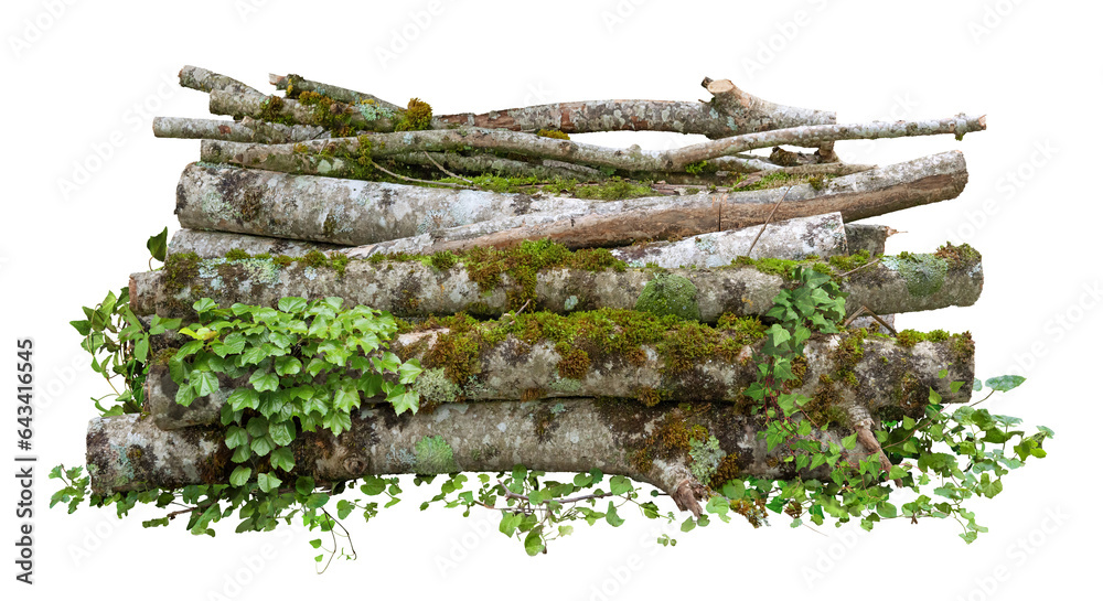 Cut out firewood. Wood pile isolated on transparent background. Stak of ...