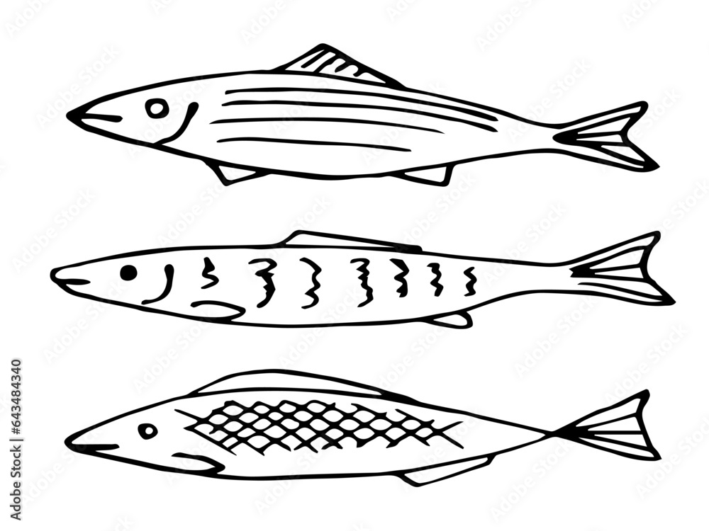 Simple black outline vector drawing. Small fish, seafood, sardines and ...