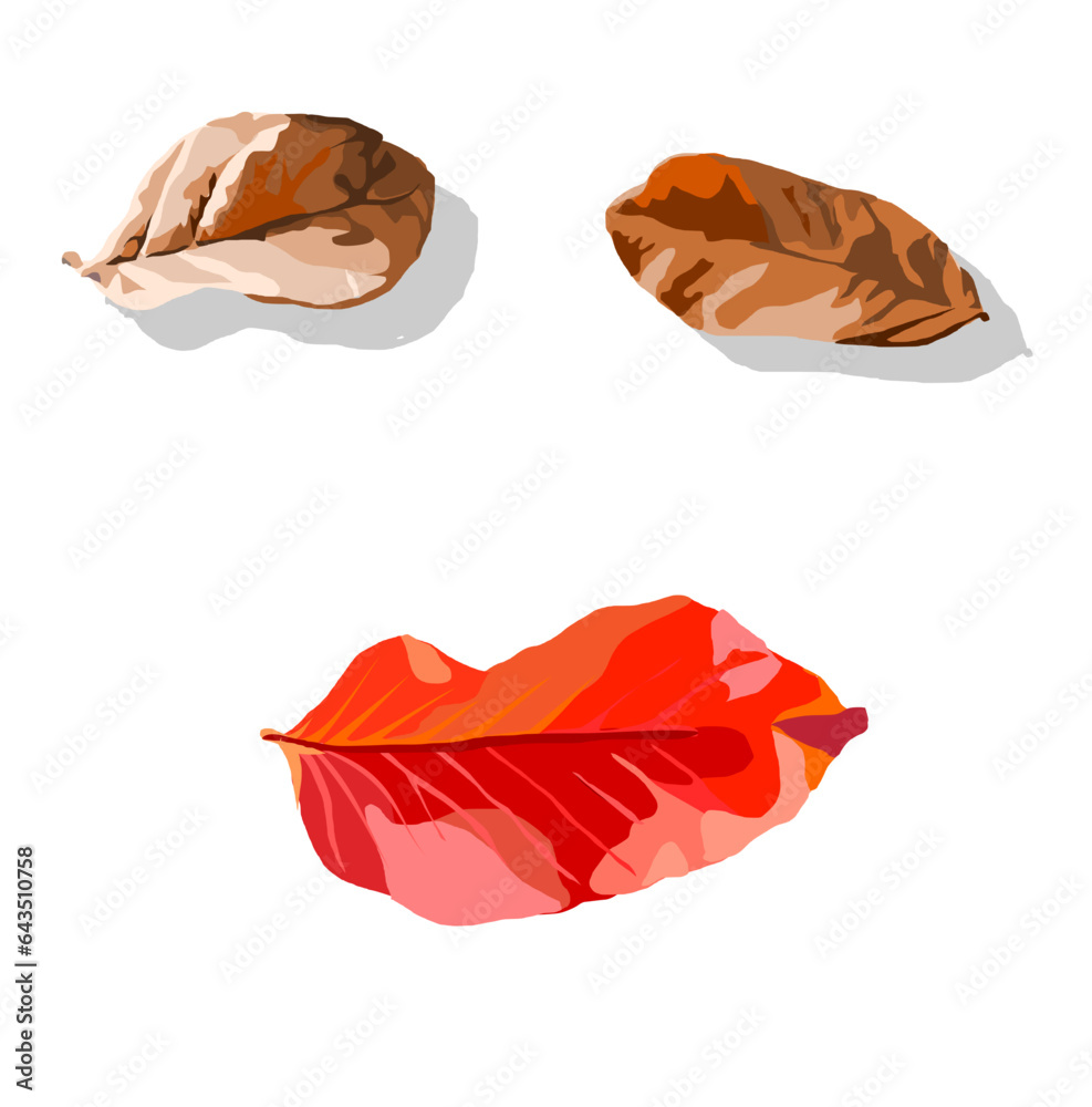 Happy face from leaves is smiling in autumn , Vector graphics of ...