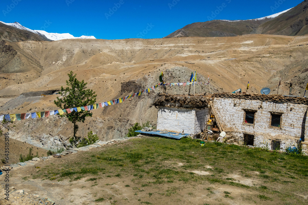 Traditional village scene, trekking in Zanskar, Ladakh, India Stock ...