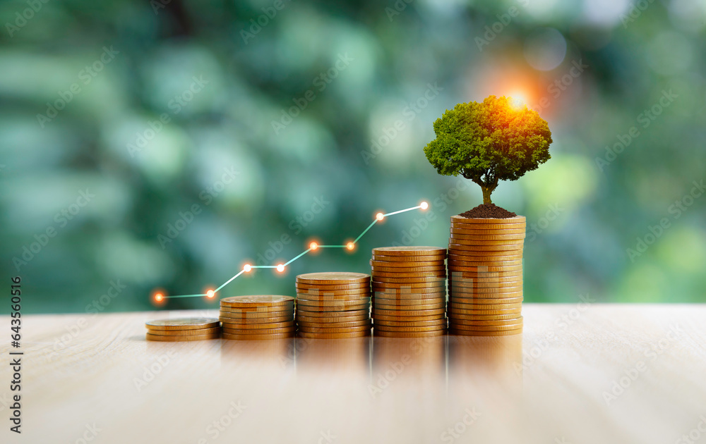 invest concept. Green tree growing on gold coins. Growing power of ...