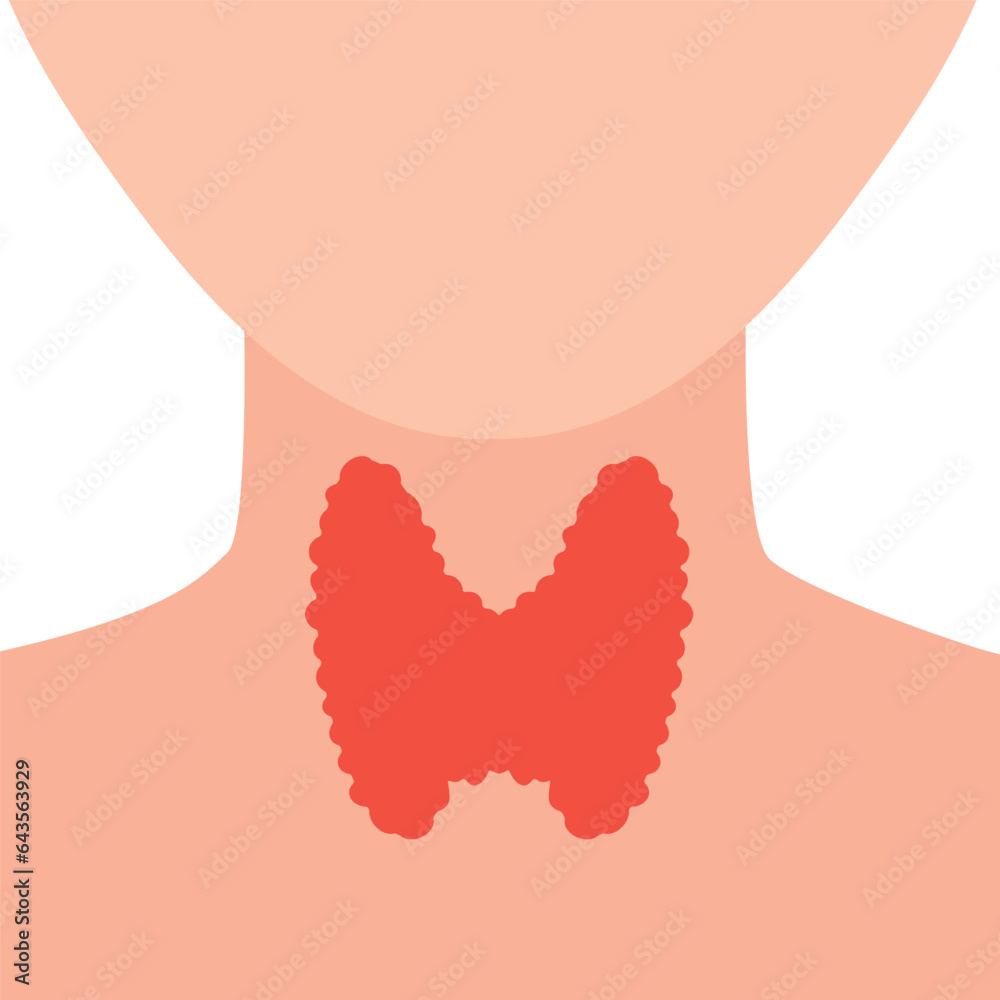 Thyroid gland lobes icon. Faceless body silhouette. Thyroid hormones ...