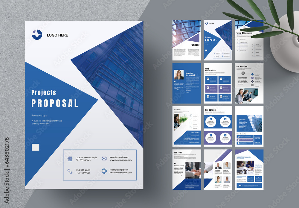 Projects Proposal Template Stock Template | Adobe Stock