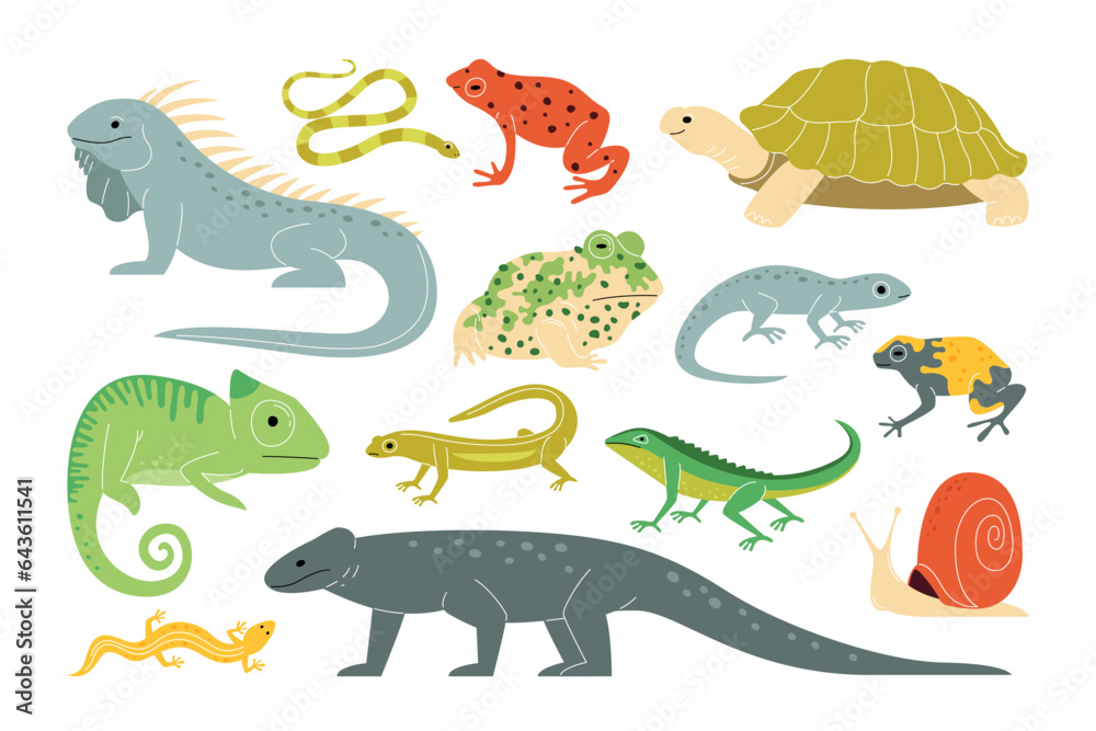 Cute terrarium amphibians and reptiles set cartoon vector illustration ...